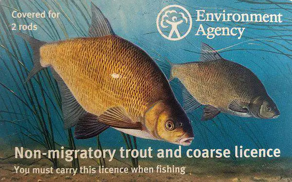 Don't Get Caught Out! A Step-by-Step Guide To Buying A Fishing Licence ...