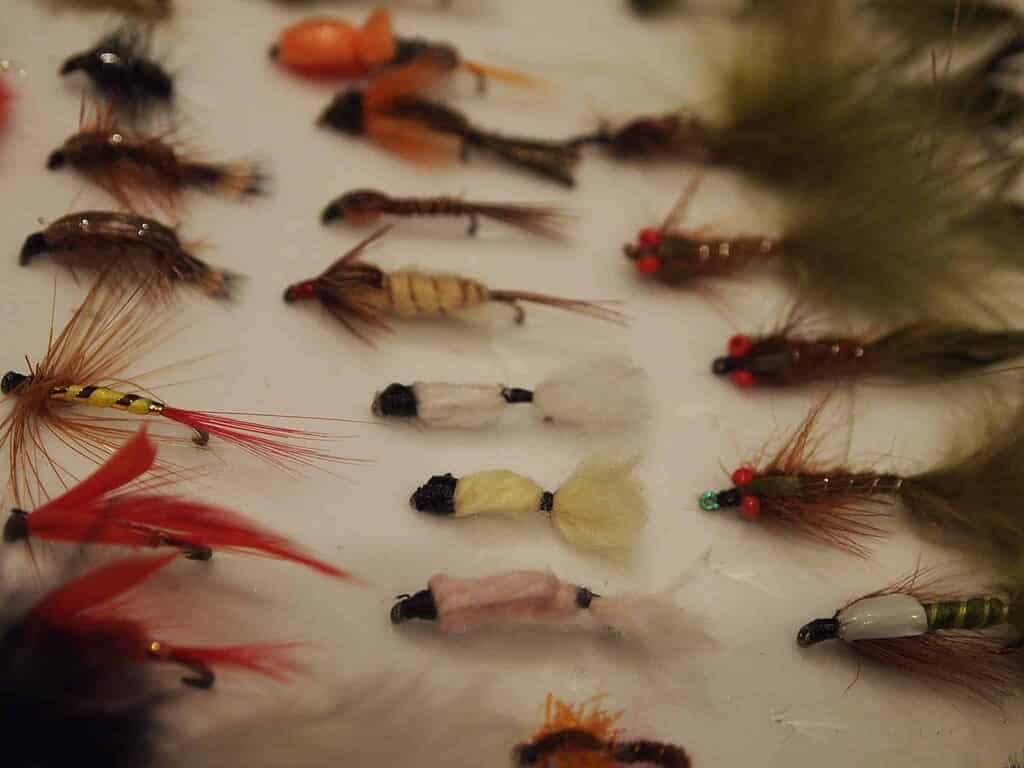 Fly Fishing Flies: Best Fly Types to Choose and when to use them
