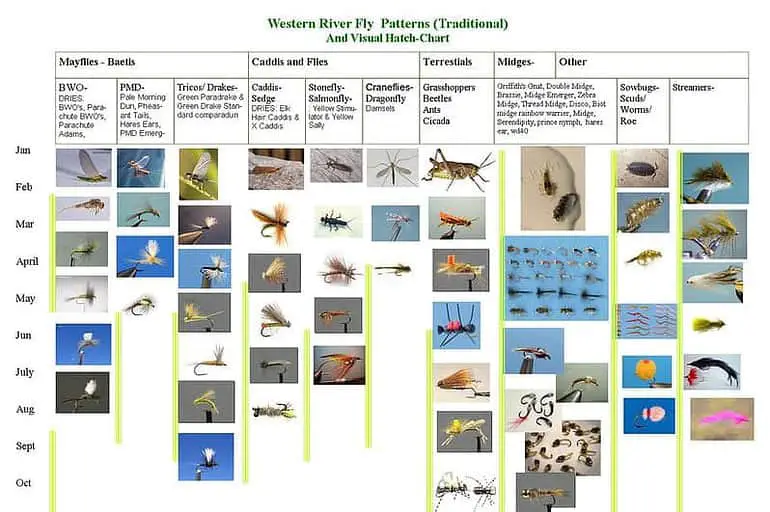 How to Fly Cast: Best Tips and Techniques for Beginners - Positive Fishing