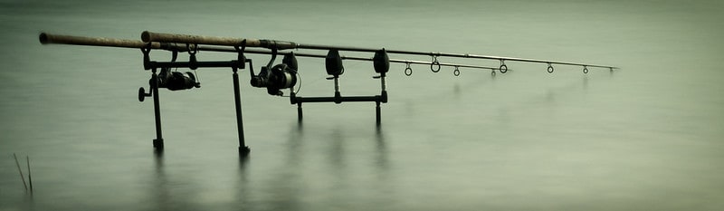 Best Shimano Baitrunner Reels For All Types Of Fishing