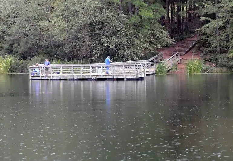 The Angler's Guide To Wet Weather: 15 Tips For Fishing In The Rain