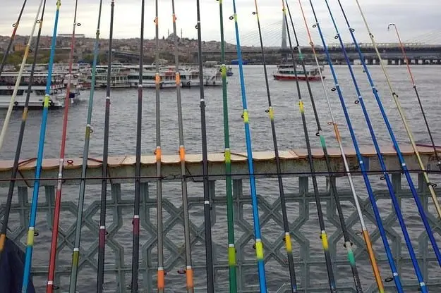 13 Types Of Fishing Rods & How To Choose The Right Rod?